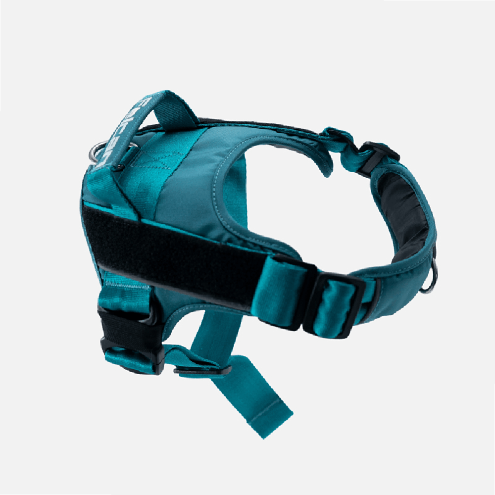 Arnés Para Perro Word Verde J Felcan - Petshop y Tienda Online de ...