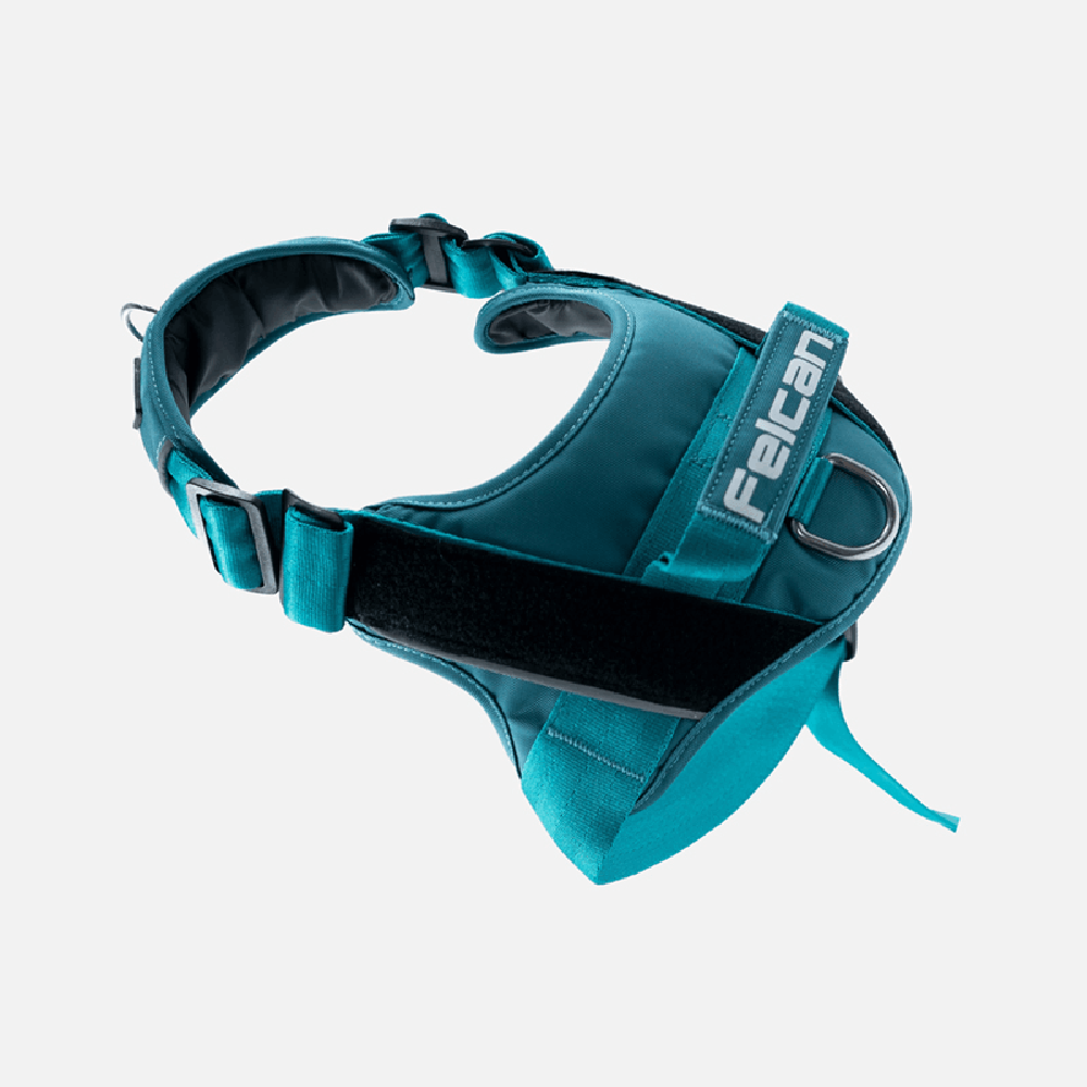 Arnés Para Perro Word Verde J Felcan - Petshop y Tienda Online de ...